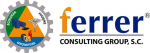 Ferrer Consulting Group S.C. – Consultoría y Capacitación